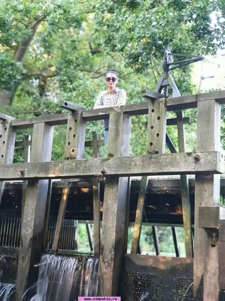 Album foto Laura, utilizator Laura-bratu